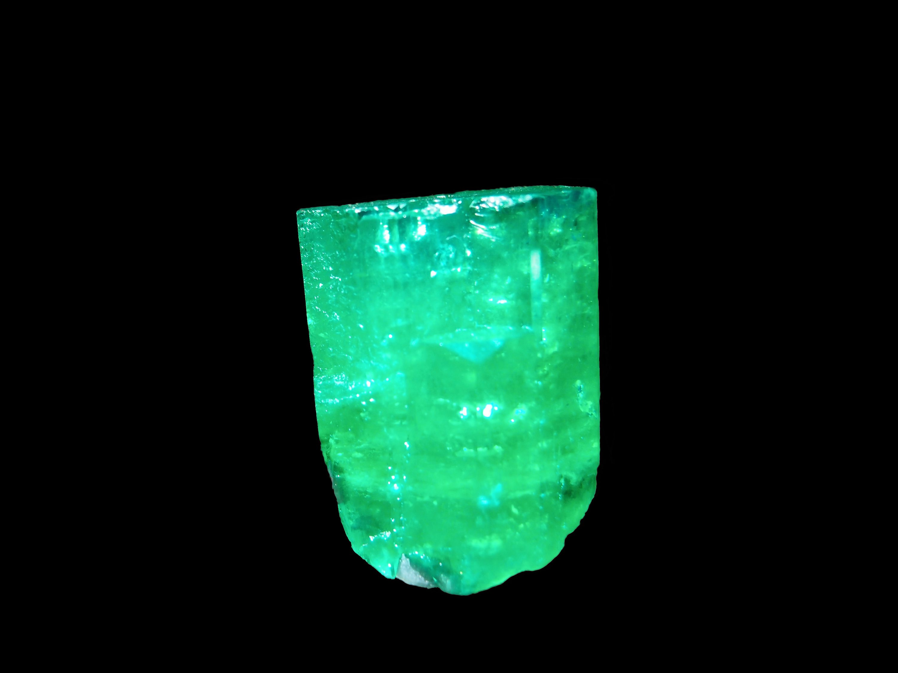 Emerald | M Natural History Institute | 민자연사연구소